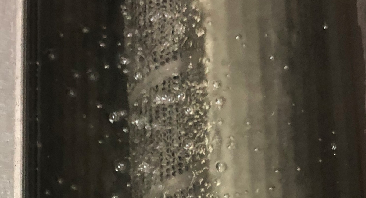 Bubble Point and Integrity Testing | Carolina PEC